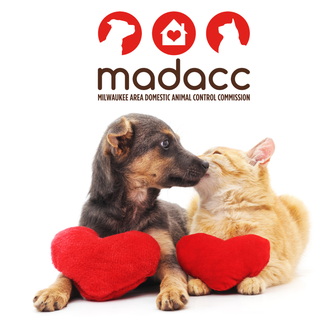 MADACC Milwaukee Area Domestic Animal Control Commission