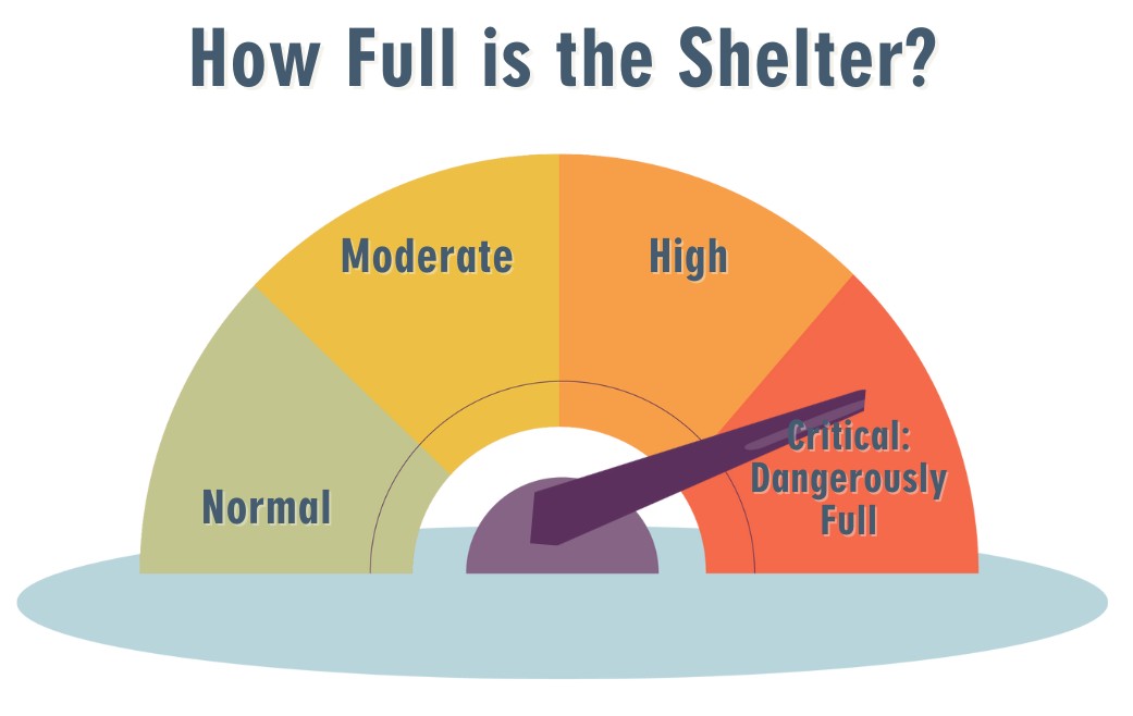 MADACC Milwaukee Area Domestic Animal Control Commission