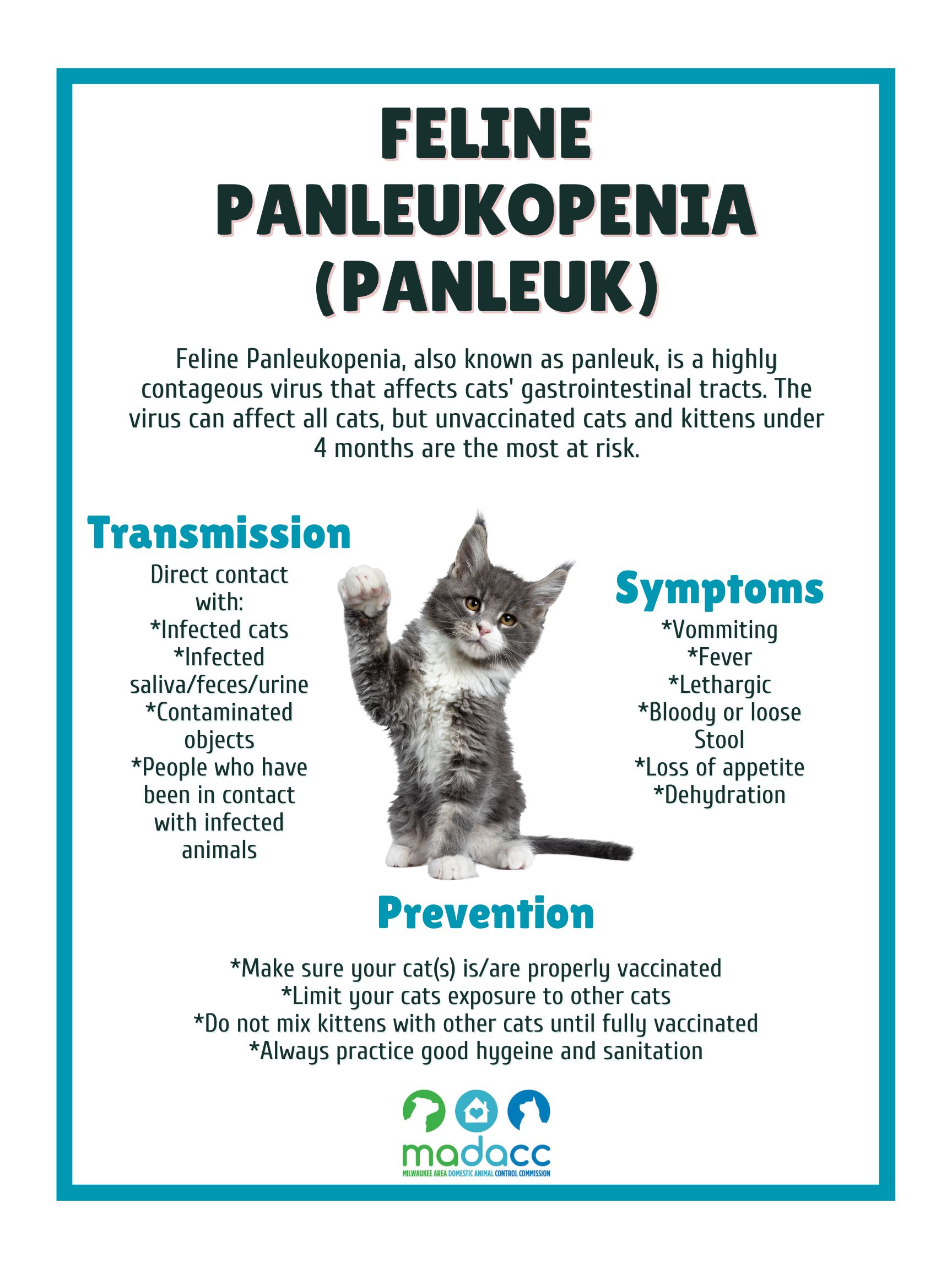 MADACC Milwaukee Area Domestic Animal Control Commission