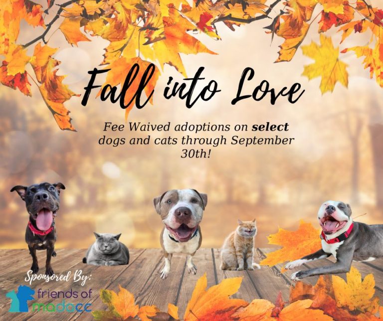 MADACC Milwaukee Area Domestic Animal Control Commission