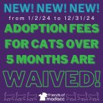 MADACC Milwaukee Area Domestic Animal Control Commission