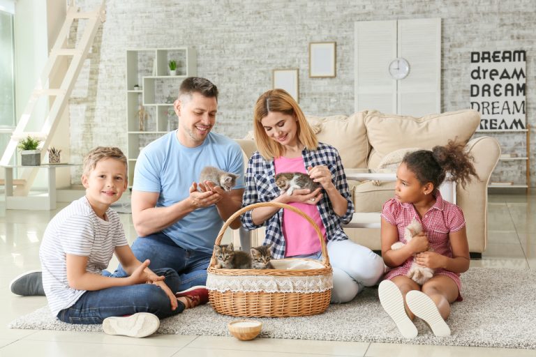 MADACC Milwaukee Area Domestic Animal Control Commission