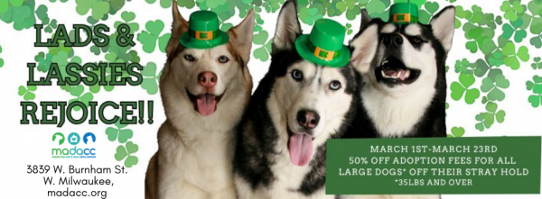 MADACC Milwaukee Area Domestic Animal Control Commission